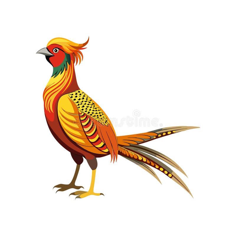 Charming Golden Pheasant Bird Design Stock Image - Illustration of ...