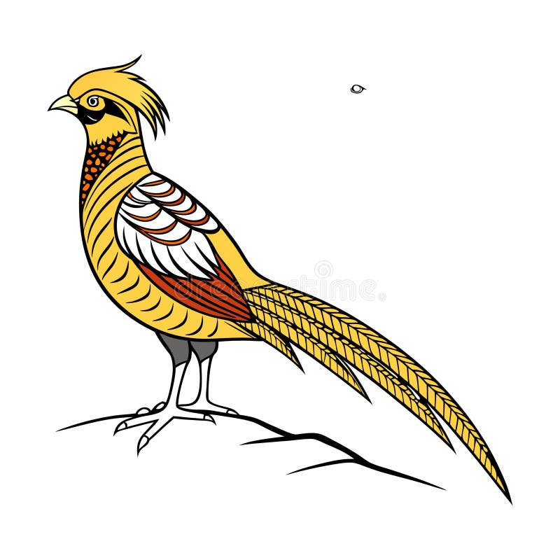 Charming Golden Pheasant Bird Design Stock Image - Illustration of ...