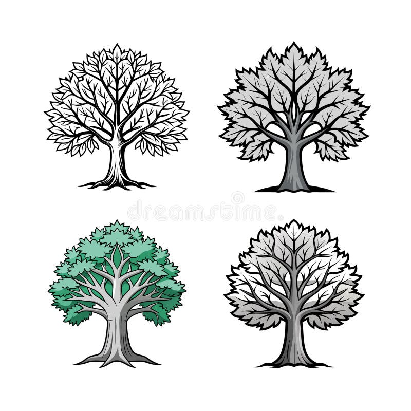 Charming Silver Maple Tree Graphic Stock Vector - Illustration of ...