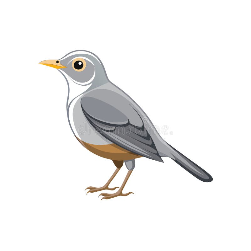 Charming Gray-cheeked Thrush Bird Artwork Stock Illustration ...