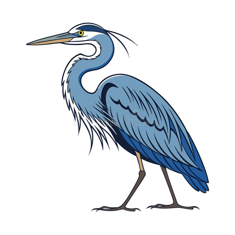 Charming Great Blue Heron Bird Design Stock Illustration - Illustration ...