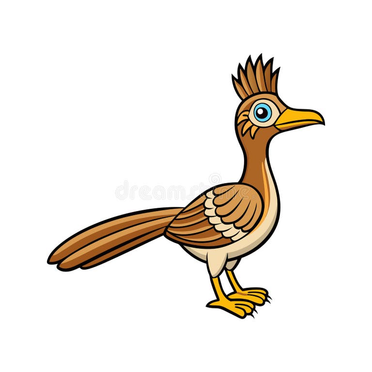 Charming Greater Roadrunner Bird Artwork Stock Illustration ...