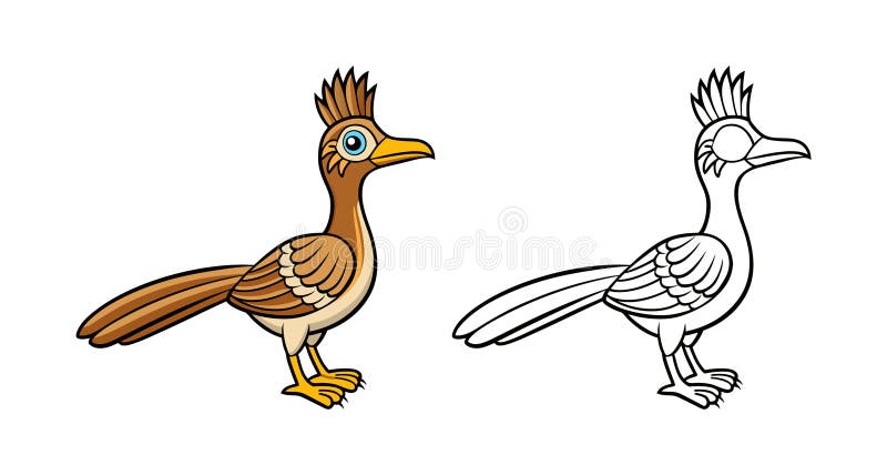 Charming Greater Roadrunner Bird Artwork Stock Illustration ...