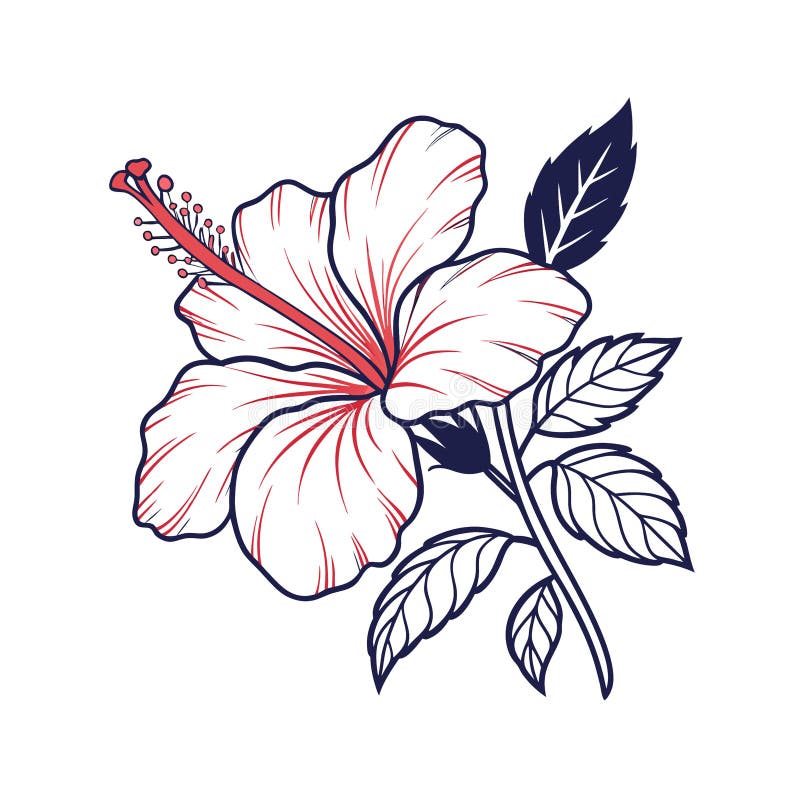 Charming Hibiscus Top View Artwork Stock Illustration - Illustration of ...