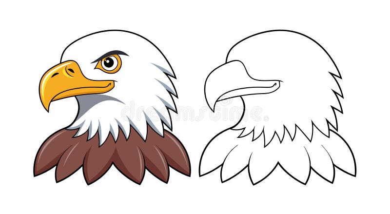 Charming Bald Eagle Bird Illustration Stock Illustration - Illustration of animal, wing: 370071151