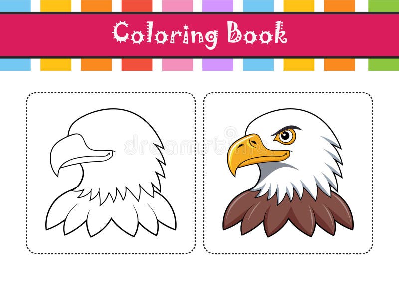 Charming Bald Eagle Bird Illustration Stock Vector - Illustration of detailed, natural: 370203246