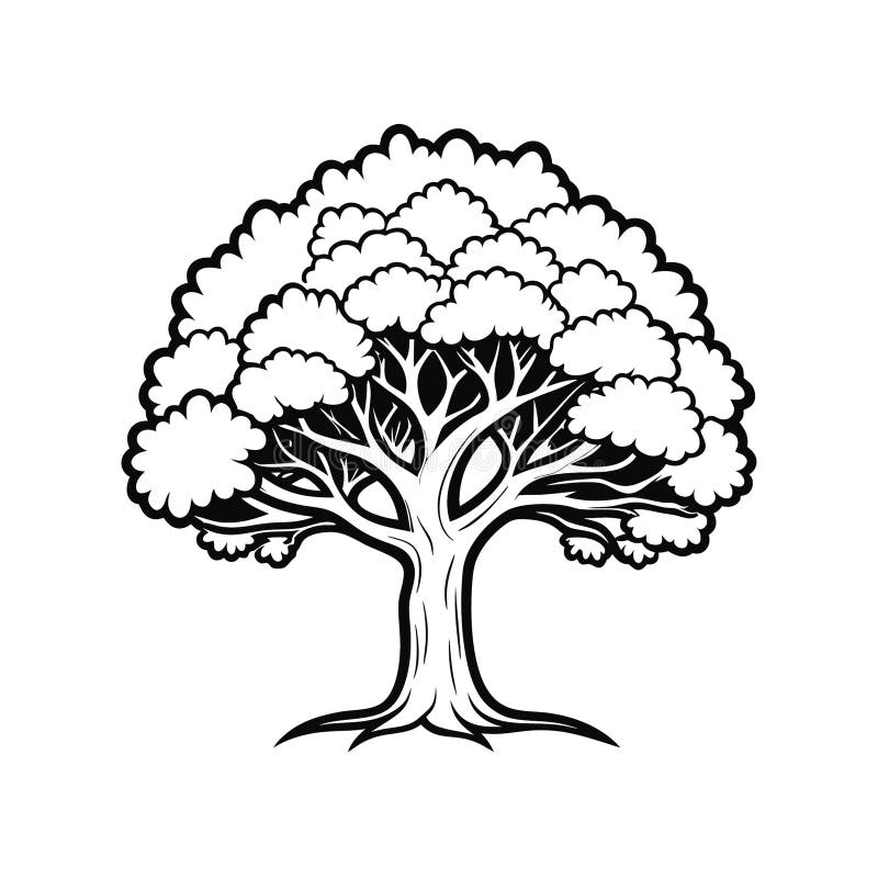 Charming Camphor Tree Illustration Art Stock Image - Illustration of ...