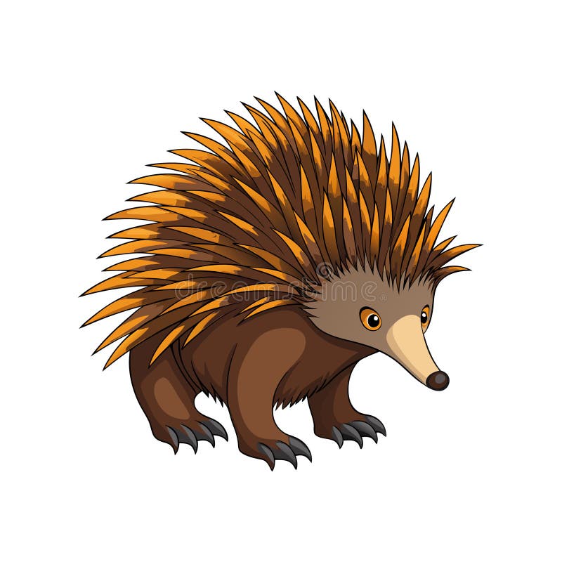 Charming Echidna Color Illustration Stock Photo - Illustration of ...