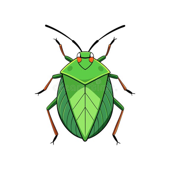 Charming Illustration of Realistic Green Stink Bug Stock Image ...