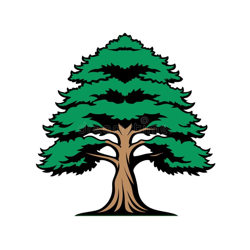 Charming Incense Cedar Tree Design Stock Illustration - Illustration of ...