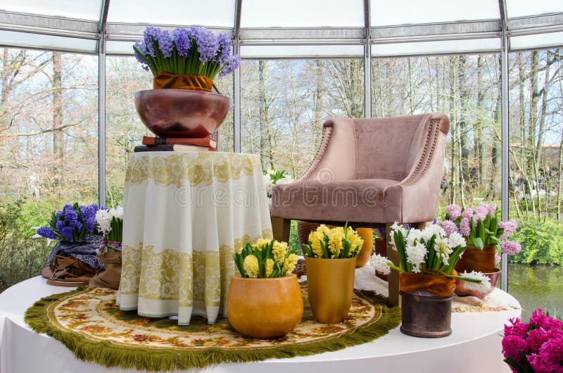 Charming Interiors in the Room with Flower Pots Stock Photo - Image of ...