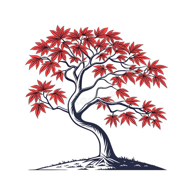 Charming Japanese Maple Design for Home Stock Illustration ...