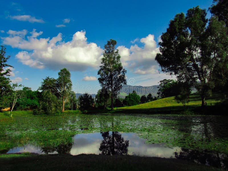 A Charming Lake in the Middle of Nature Stock Photo - Image of ...