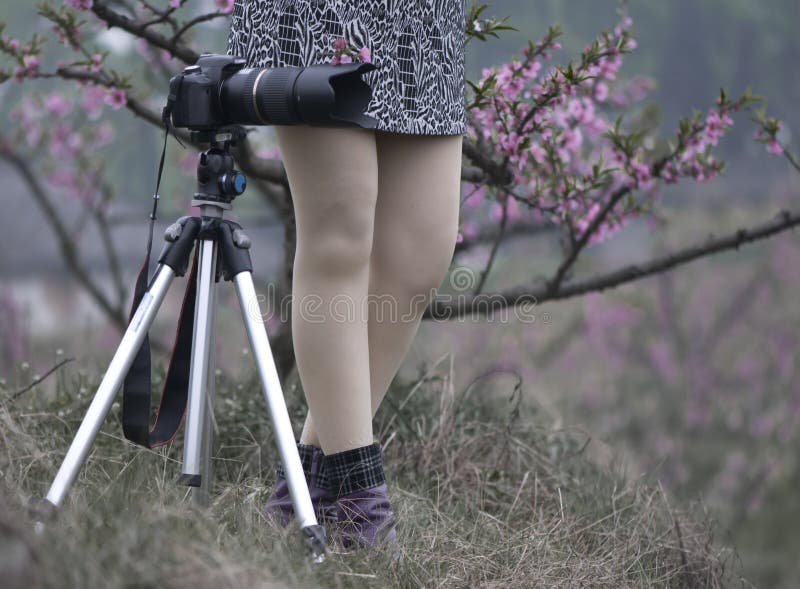 Charming legs and camera stock image. Image of memorial - 39016263