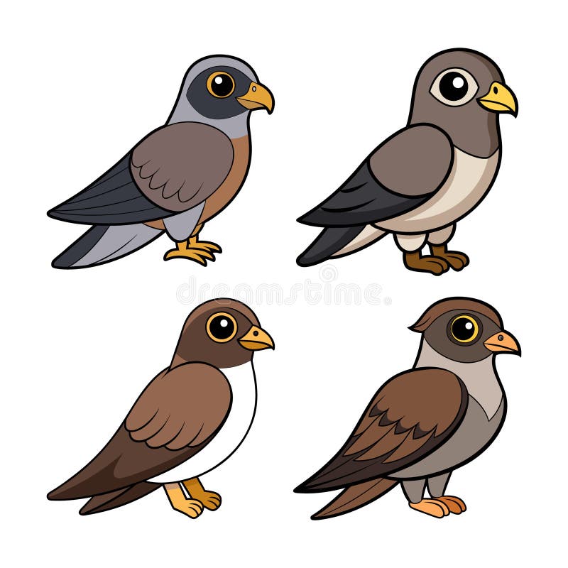 Charming Lesser Nighthawk Bird Artwork Stock Vector - Illustration of ...