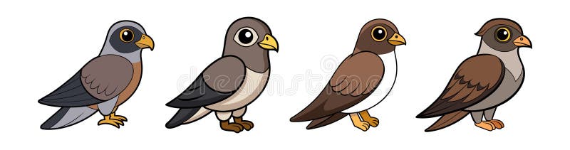 Charming Lesser Nighthawk Bird Artwork Stock Vector - Illustration of ...