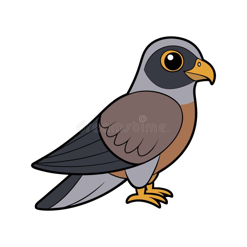 Charming Lesser Nighthawk Bird Artwork Stock Illustration ...