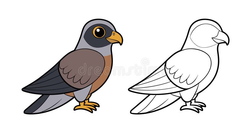 Charming Lesser Nighthawk Bird Artwork Stock Illustration ...