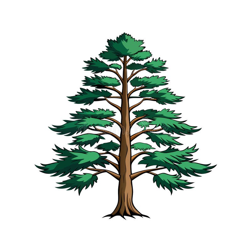 Charming Longleaf Pine Tree Artwork Stock Image - Illustration of bare ...