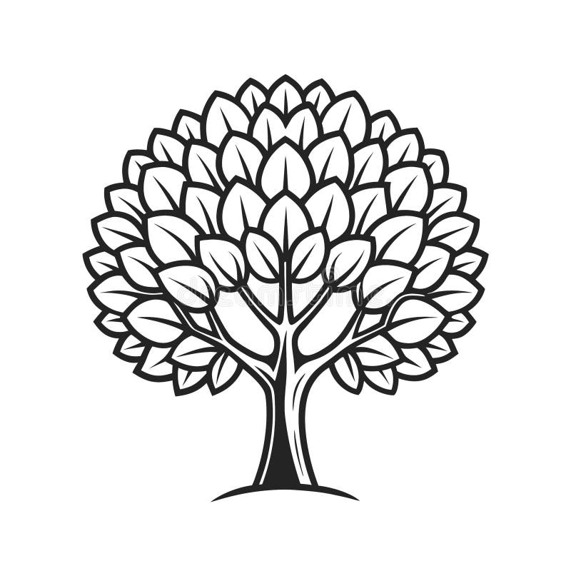 Charming Macadamia Nut Tree Artwork Stock Illustration - Illustration ...