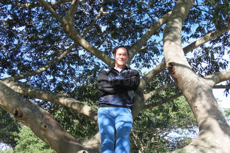 Charming Man Amid Tree Branches in a Park Stock Photo - Image of ...