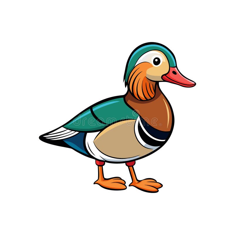 Charming Mandarin Duck Portrait Stock Illustrations – 12 Charming ...