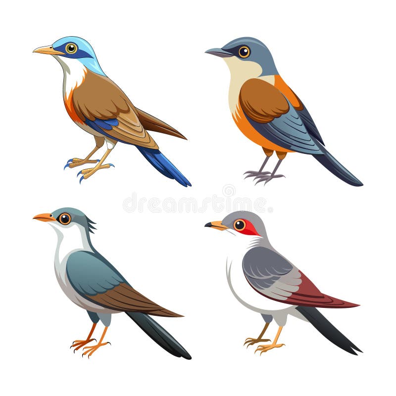 Charming Mangrove Cuckoo Bird Artwork Stock Vector - Illustration of ...