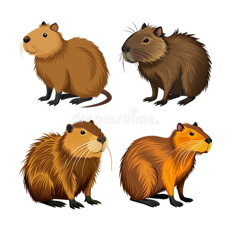 Charming Nutria Color Illustration Stock Vector - Illustration of ...