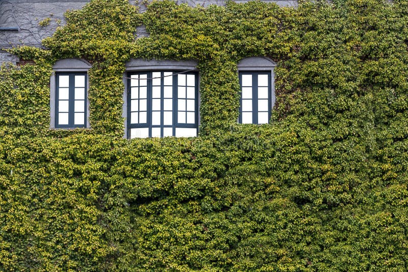 Charming Old Windows and Rustic Building Exterior Facade Wall with ...