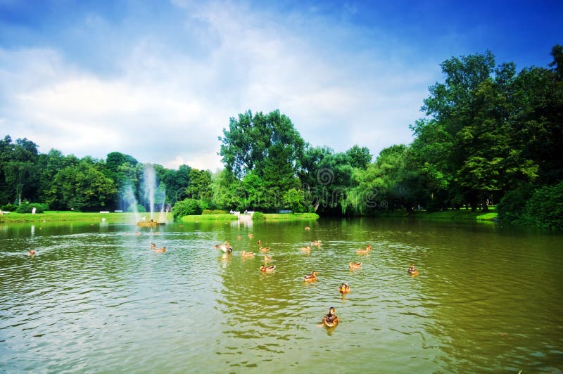Charming park with pond stock image. Image of pond, duck - 15643391