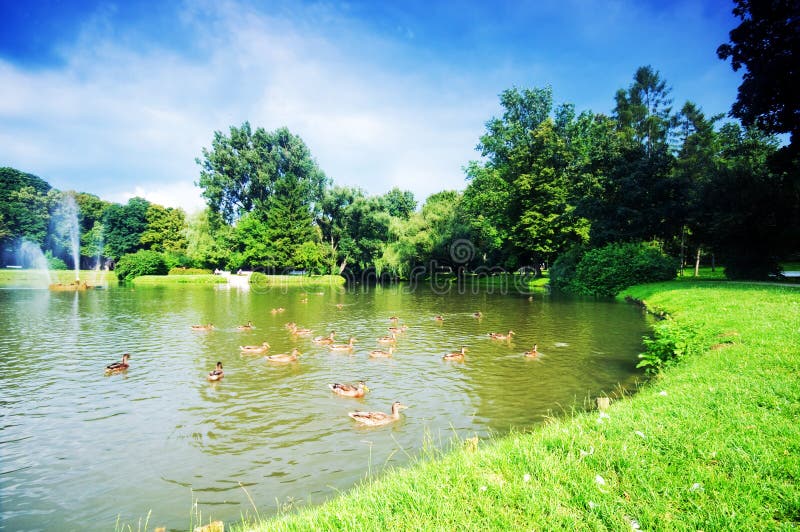 Charming park with pond stock photo. Image of lake, land - 15643402
