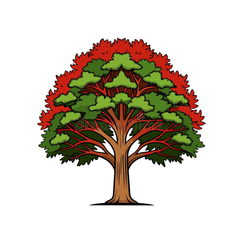 Charming Pignut Hickory Tree Graphic Stock Image - Illustration of ...