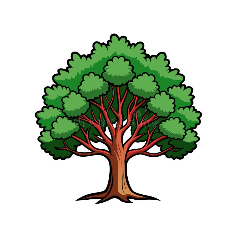 Charming Pin Oak Tree Graphic Stock Illustration - Illustration of ...
