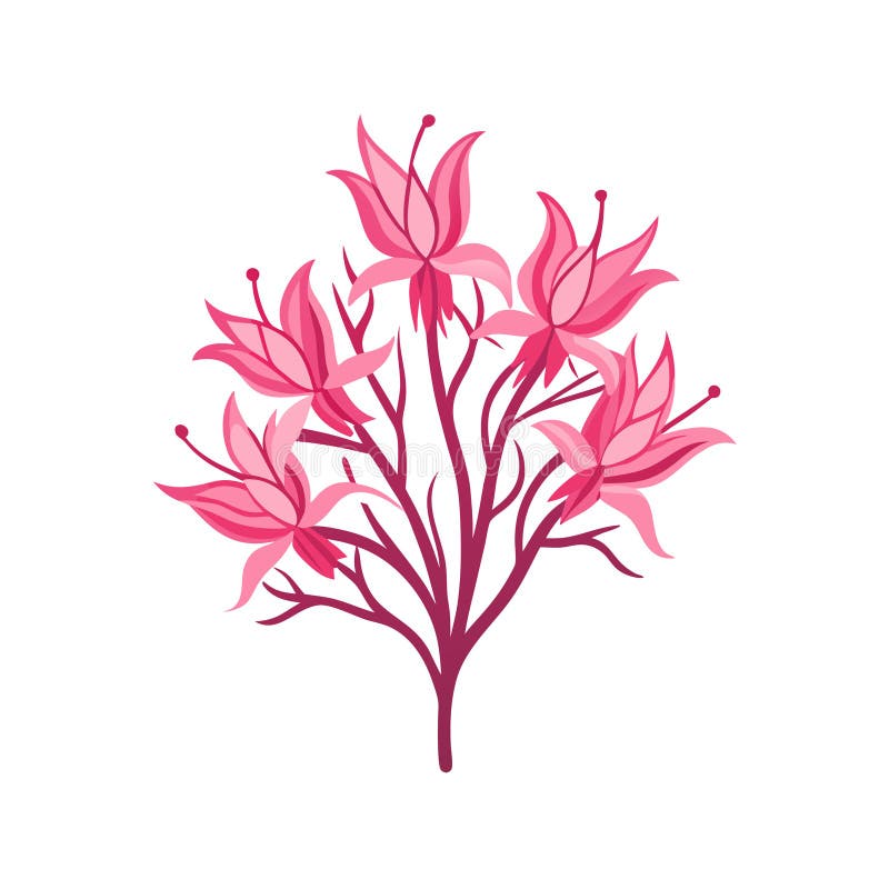 Charming Pink Witch Hazel Bouquet Floral Art Stock Illustration ...