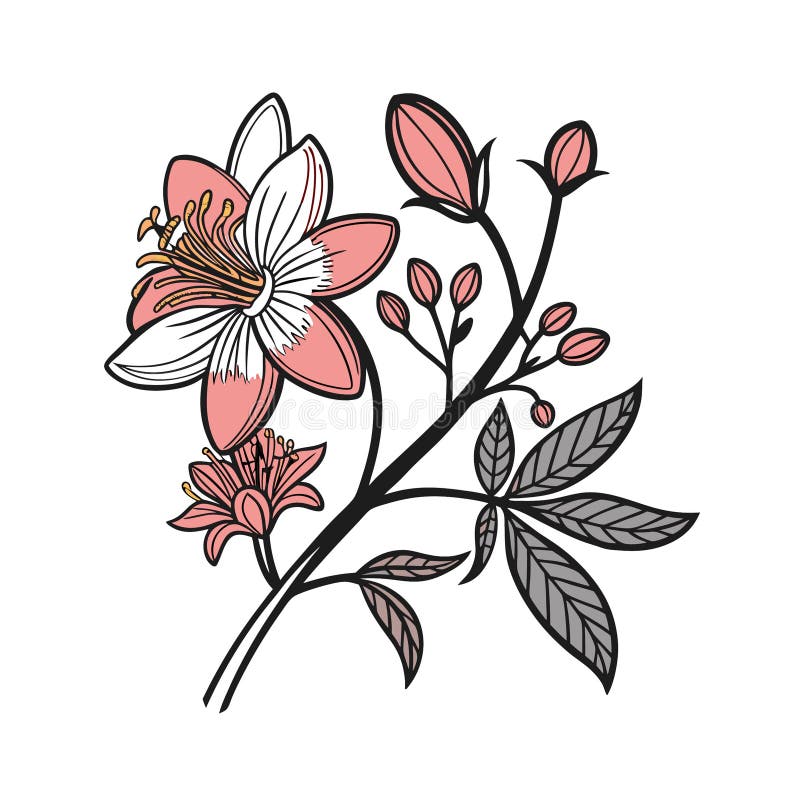 Charming Queen Flower Design Stock Image - Illustration of clip, floral ...