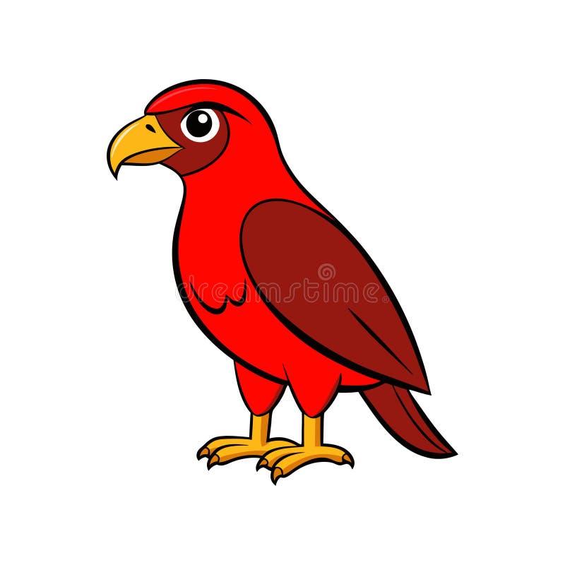 Charming Red-shouldered Hawk Design Stock Illustration - Illustration ...