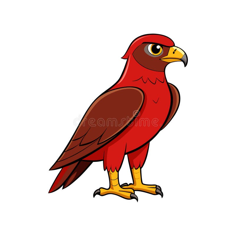 Charming Red-tailed Hawk Design Stock Image - Illustration of detailed ...