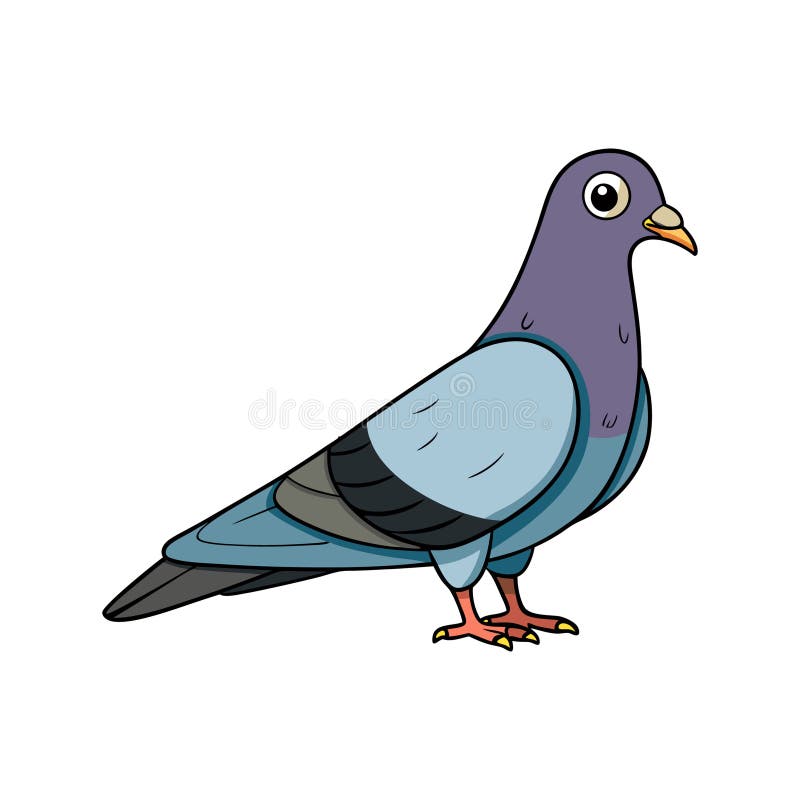 Rock Pigeon Behind Greeting Sign for International Bird Day, Vector ...