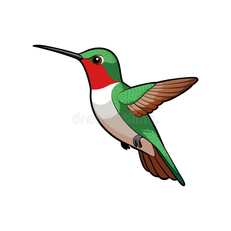 Charming Ruby-Throated Hummingbird Bird Colorful Design Stock ...