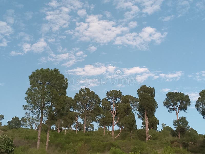 The Charming Scene of Nature with Blue Sky and Clouds Stock Photo ...