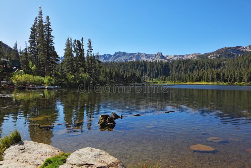 Charming shallow lake stock photo. Image of horizon - 183325868