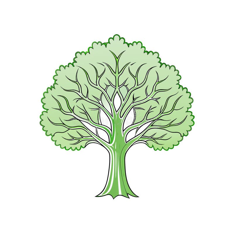 Charming Silver Lime Tree Graphic Stock Image - Illustration of graphic ...