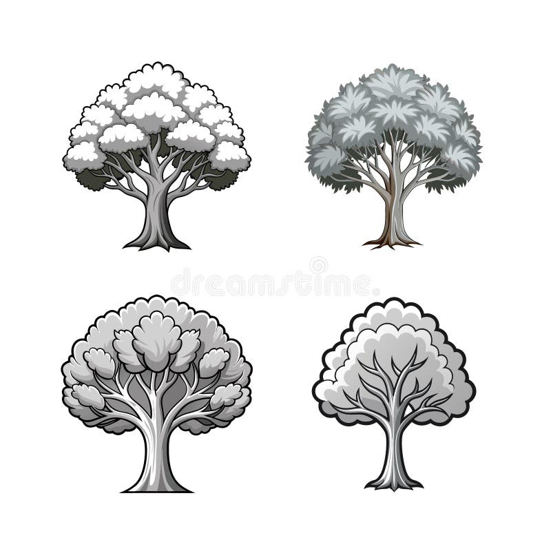 Charming Silver Wattle Tree Graphic Stock Vector - Illustration of ...