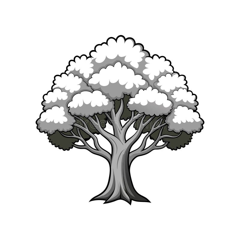 Charming Silver Wattle Tree Graphic Stock Illustration - Illustration ...