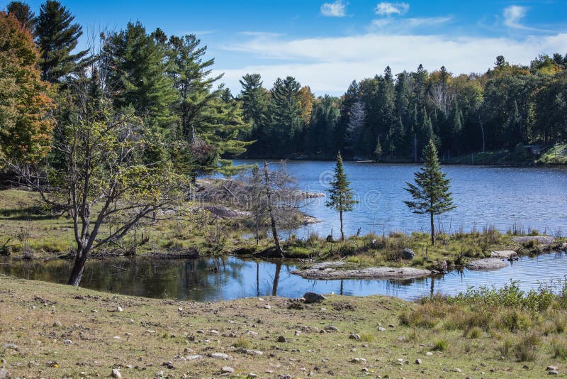 The Charming Small Island on the Lake Stock Image - Image of tree ...