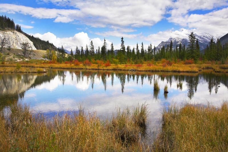 Charming small lake stock photo. Image of remote, grass - 169293944