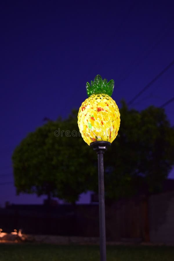 Charming Solar Light in Pineapple Shape Shining in a Yard Against a ...