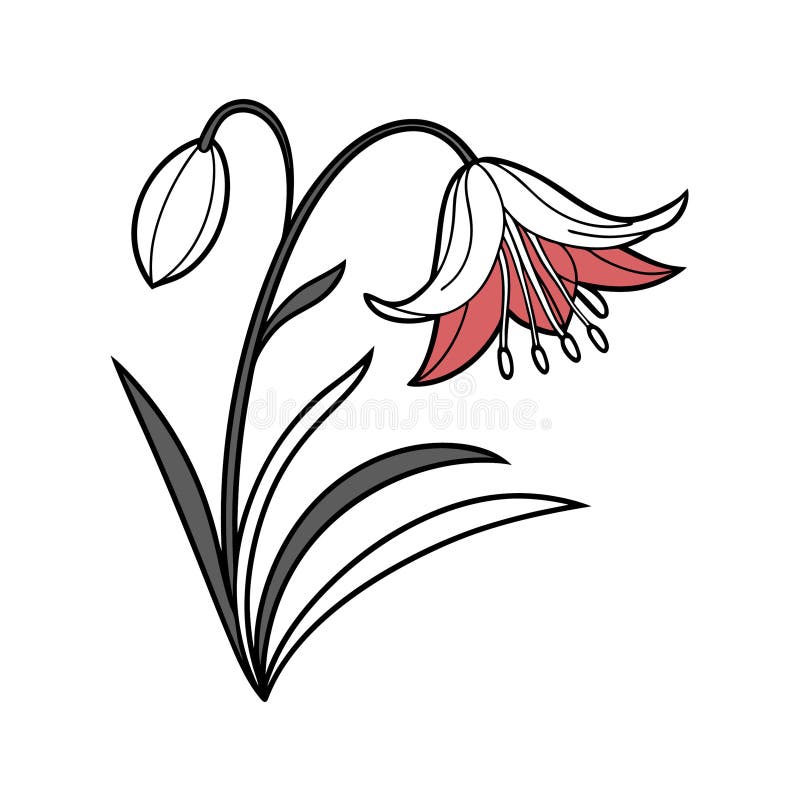 Charming Spoiler Flower Artwork Stock Photo - Illustration of design ...