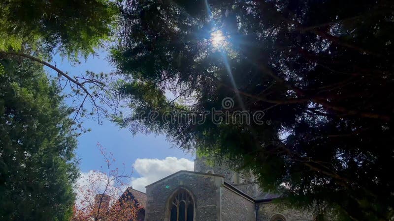 Charming Stone Church Surrounded by Lush Greenery and Framed by Tall ...