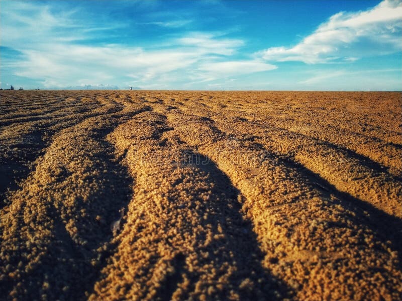 Charming Twilight Sand Plain Stock Photo - Image of horizon, plain ...